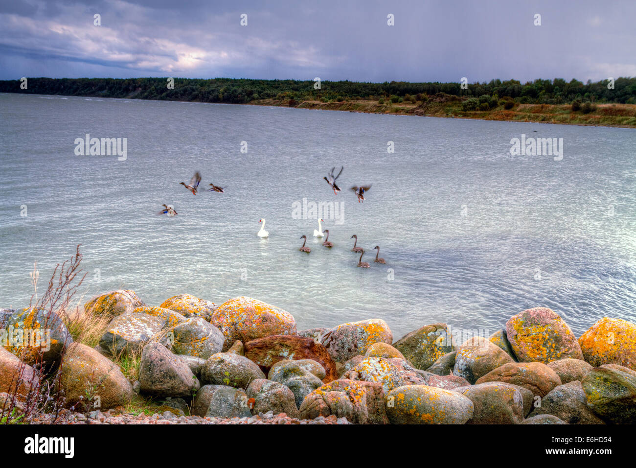 The beach of gabicce mare hi-res stock photography and images - Alamy