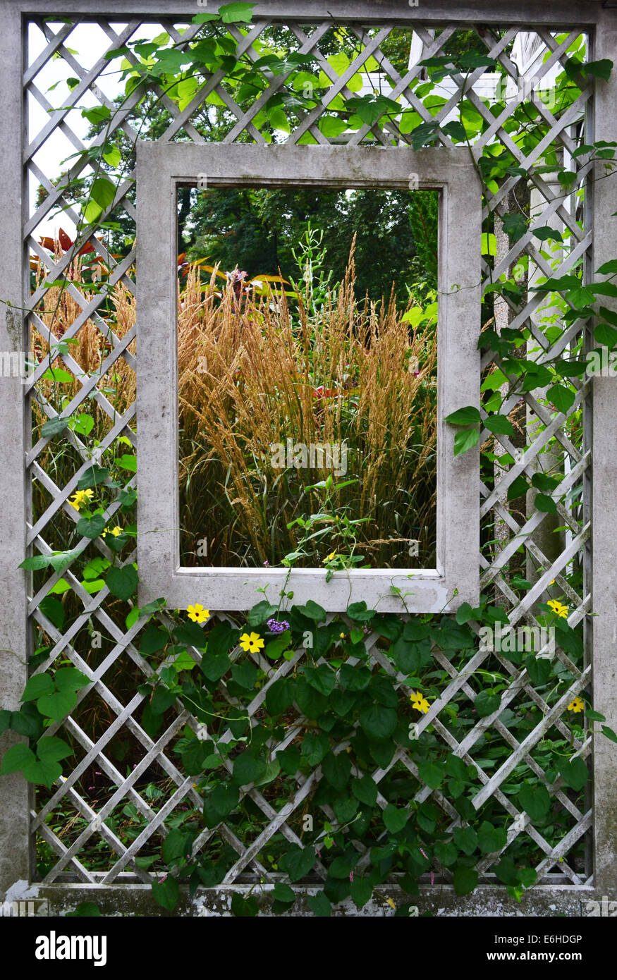 Wooden garden gate covered hi-res stock photography and images - Alamy