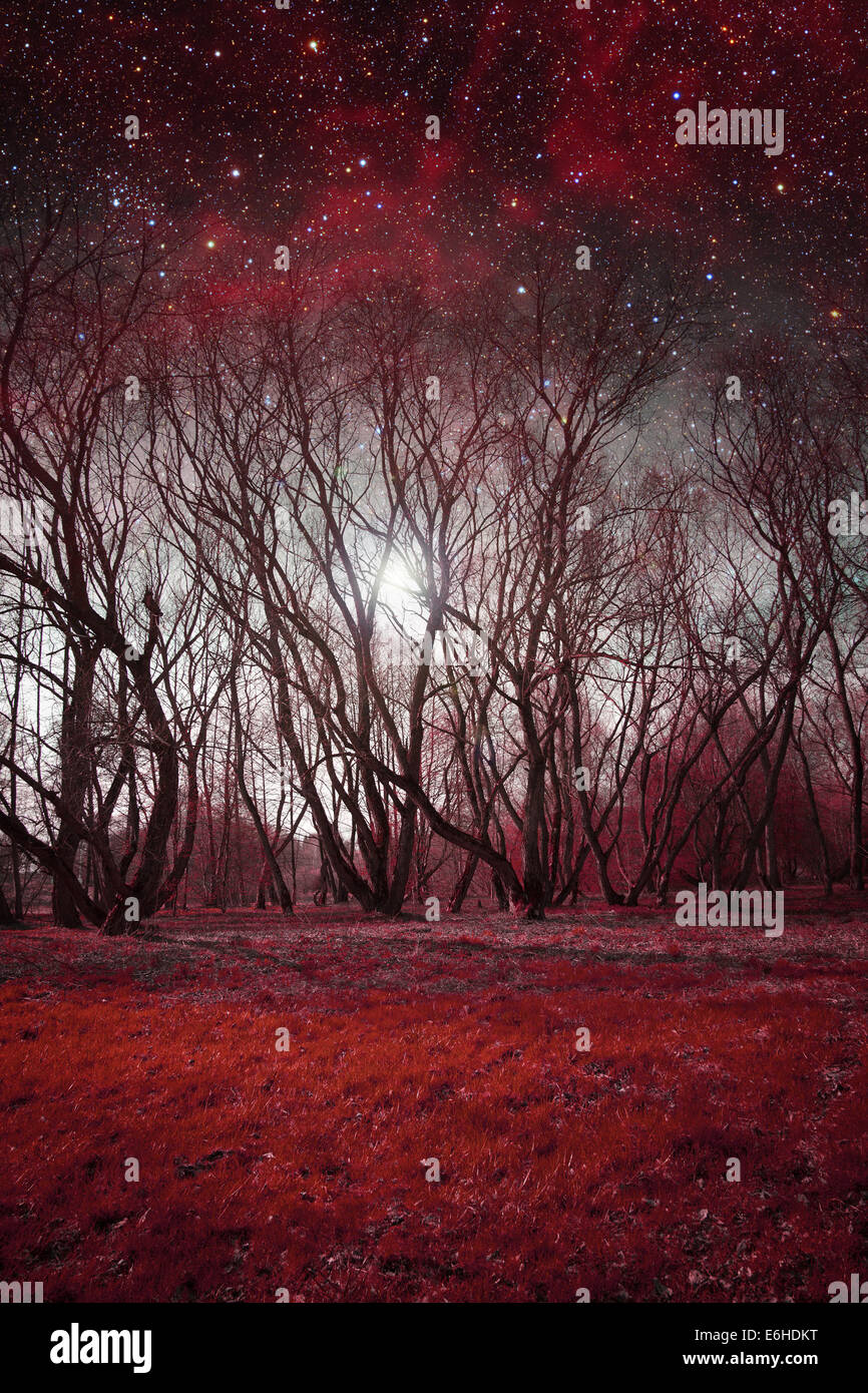 mystical spring night. Elements of this image furnished by NASA Stock ...