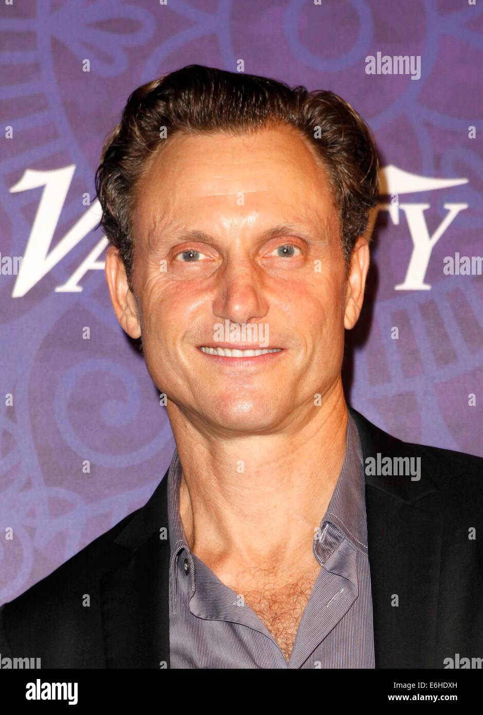 Los Angeles, CA, USA. 23rd Aug, 2014. Tony Goldwyn at arrivals for ...