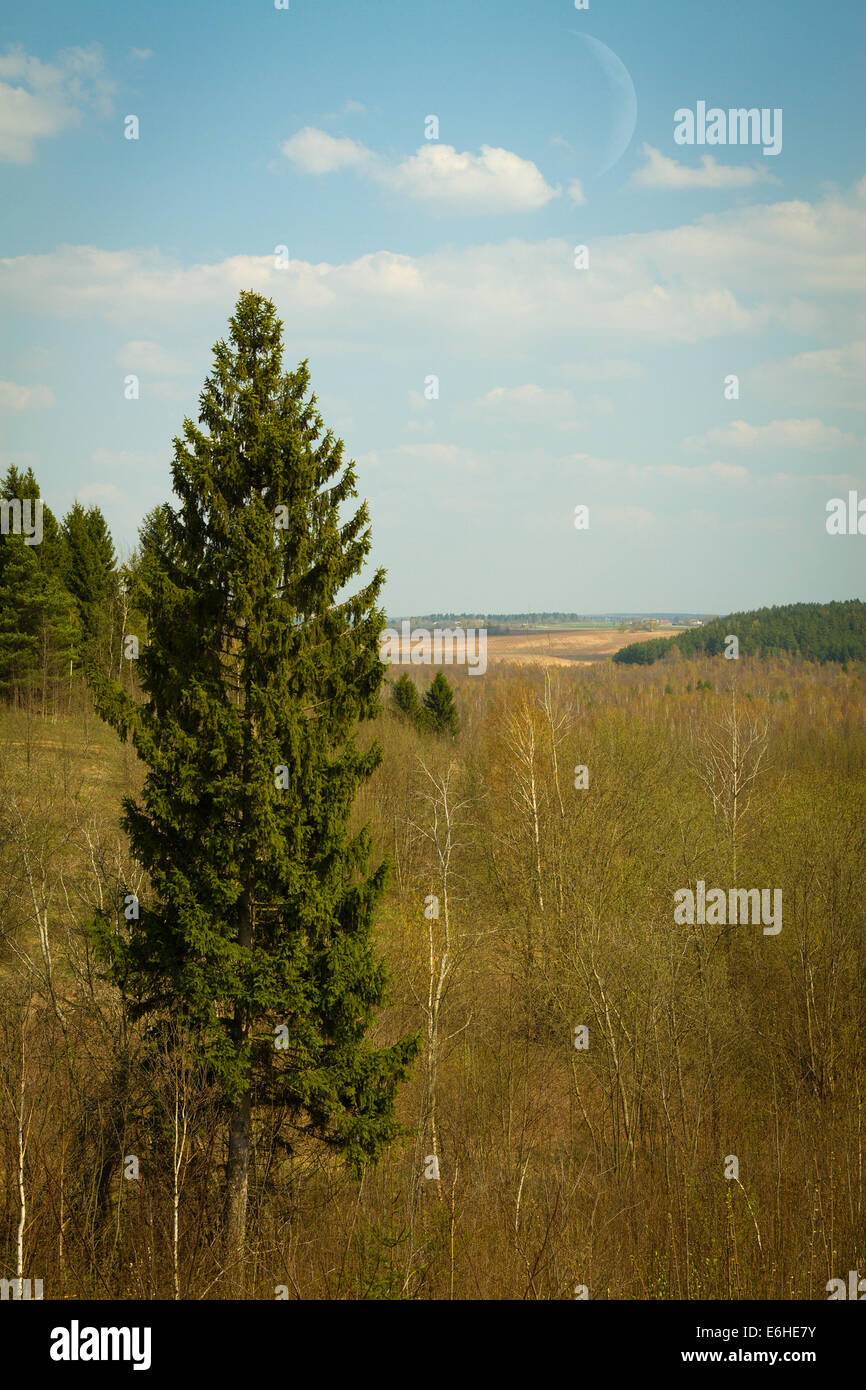 Alaska woods and hills Stock Photo - Alamy