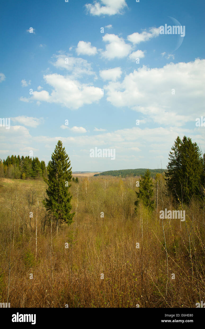 Alaska woods and hills Stock Photo - Alamy