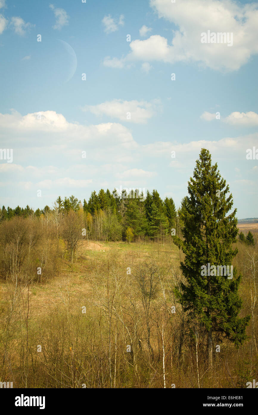 Alaska woods and hills Stock Photo - Alamy