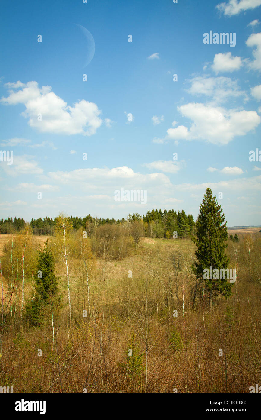 Alaska woods and hills Stock Photo - Alamy