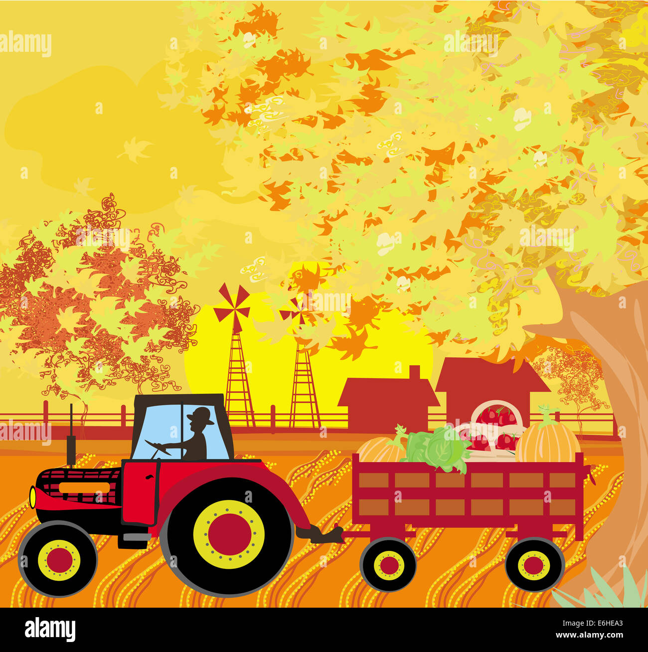 man driving a tractor with a trailer full of vegetables in autumn Stock ...