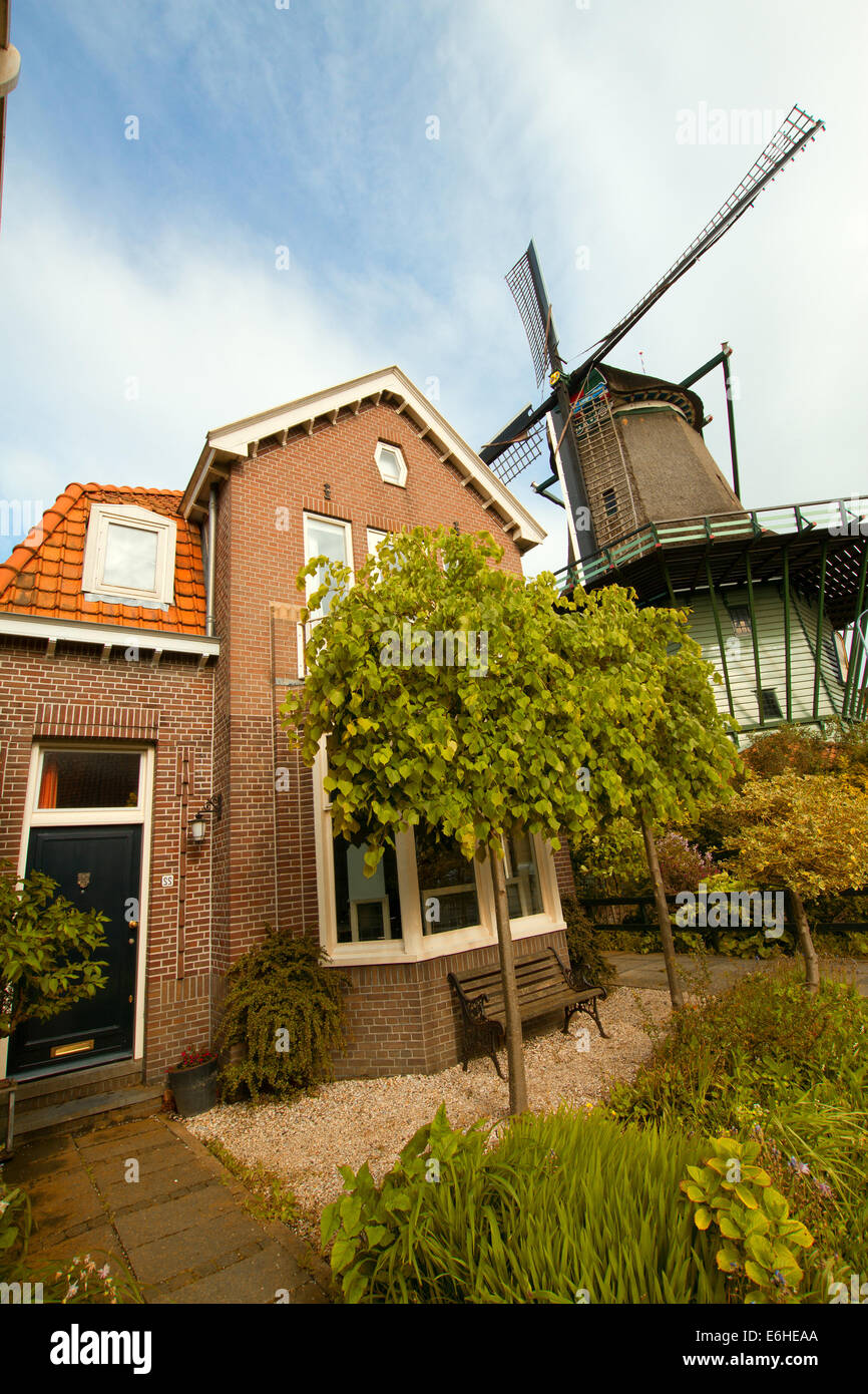 Traditional dutch windmills Stock Photo - Alamy