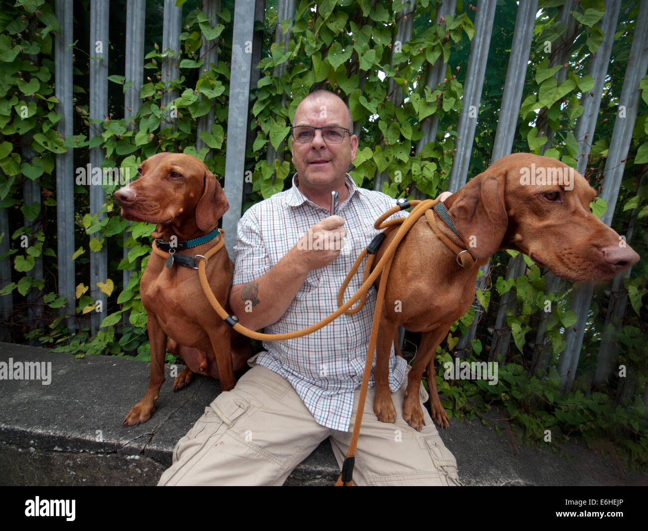 Proud dogs hi-res stock photography and images - Alamy