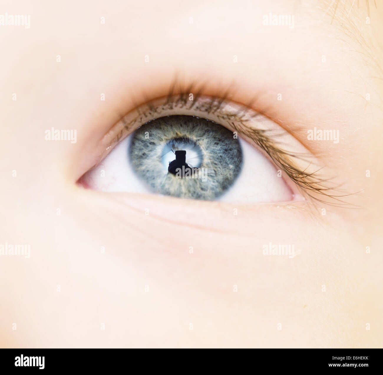 close up of baby eye Stock Photo - Alamy