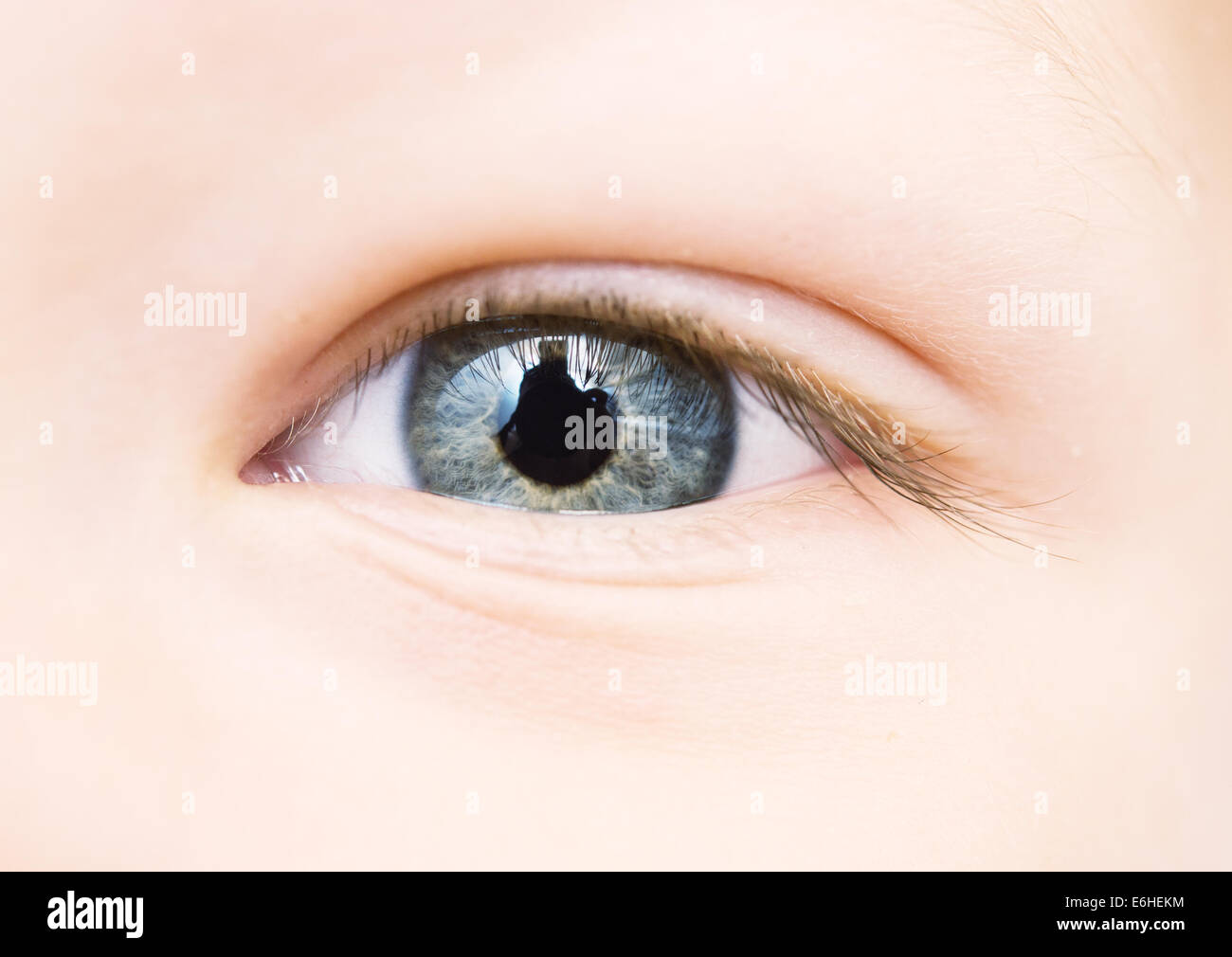close up of baby eye Stock Photo - Alamy