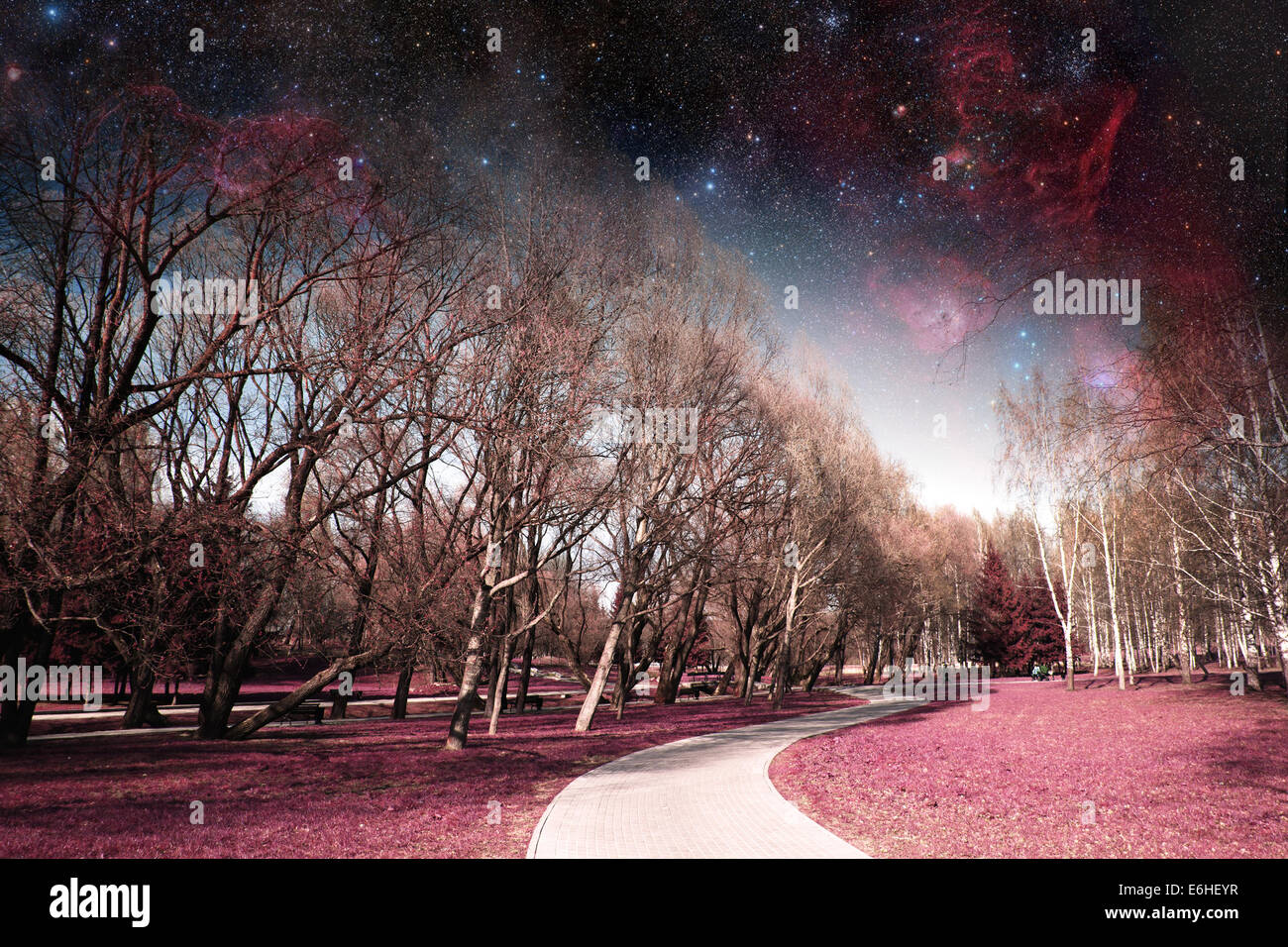 mystical spring night. Elements of this image furnished by NASA Stock ...