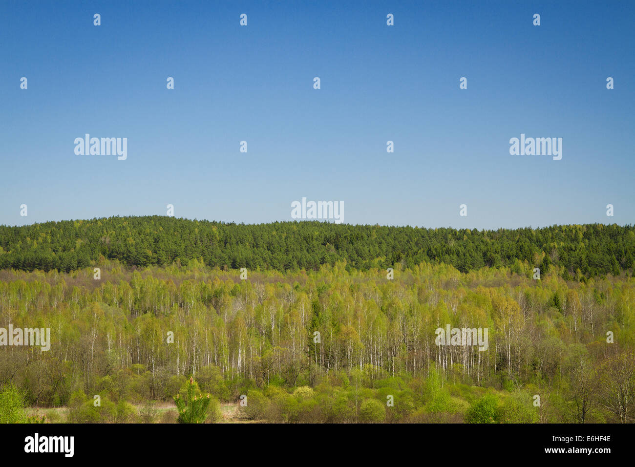 Alaska woods and hills Stock Photo - Alamy