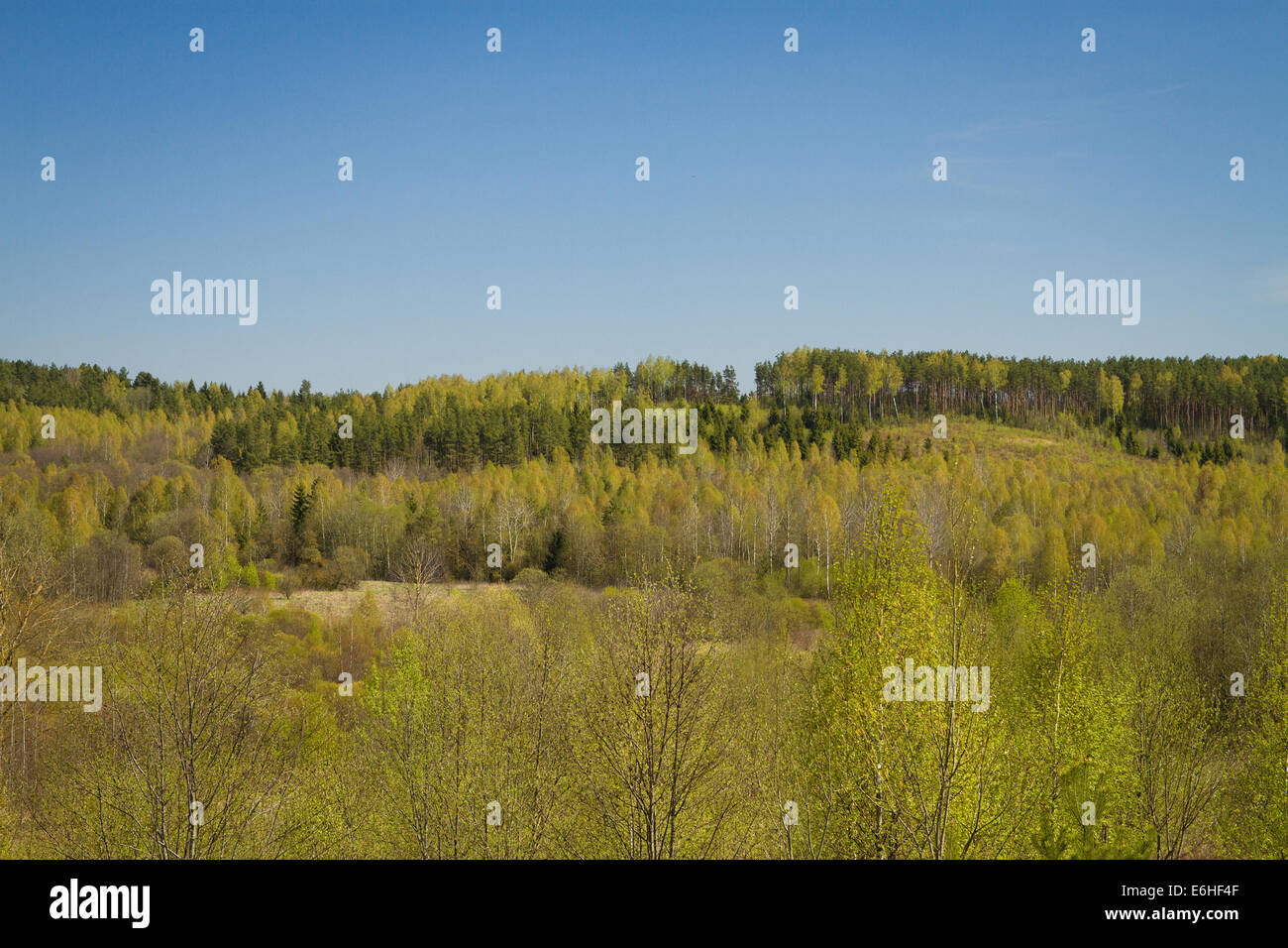 Alaska woods and hills Stock Photo - Alamy