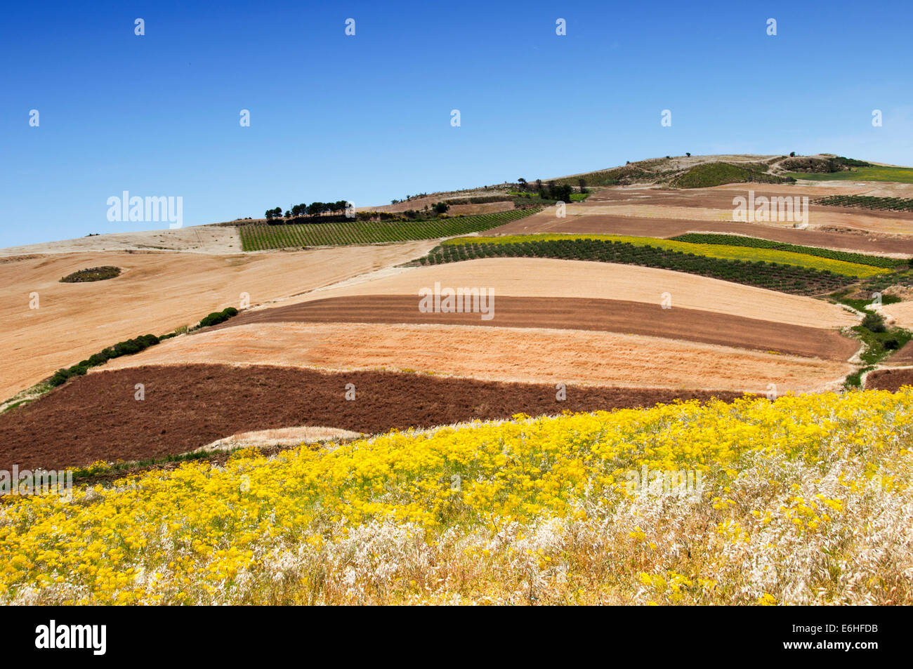 Colorful fields in Italy Stock Photo - Alamy