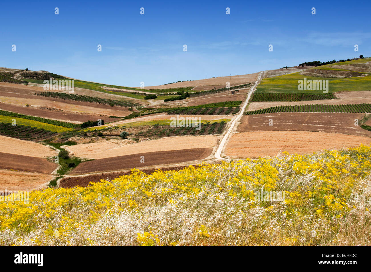 Colorful fields in Italy Stock Photo - Alamy