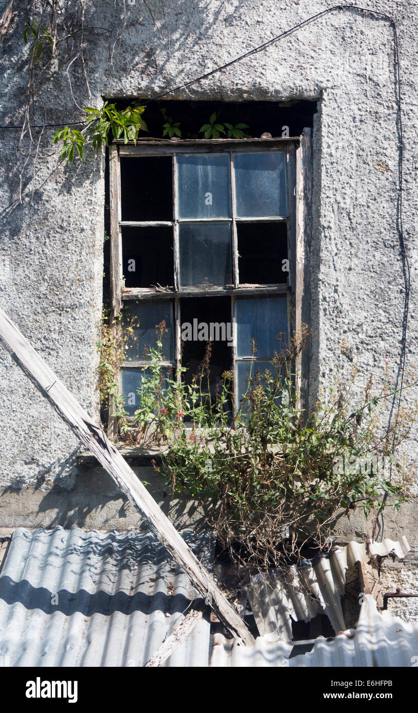 Derelict old house building with smashed window and broken corrugated ...