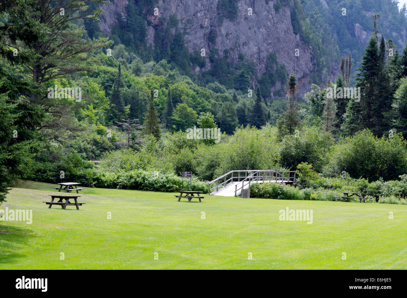 Picnic On The Summer Meadow Under The Tree High Resolution Stock ...