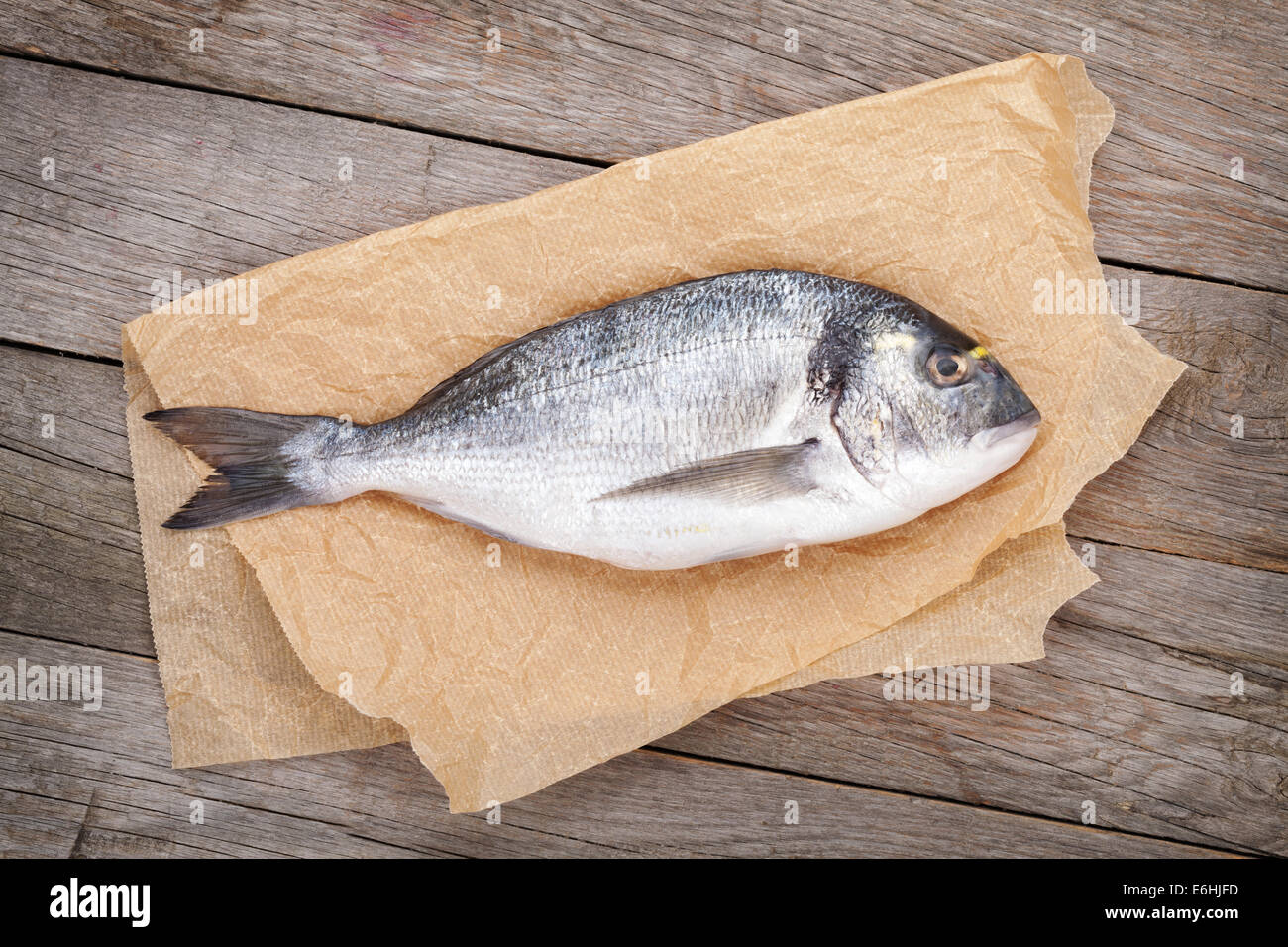 Dorada fish hi-res stock photography and images - Alamy