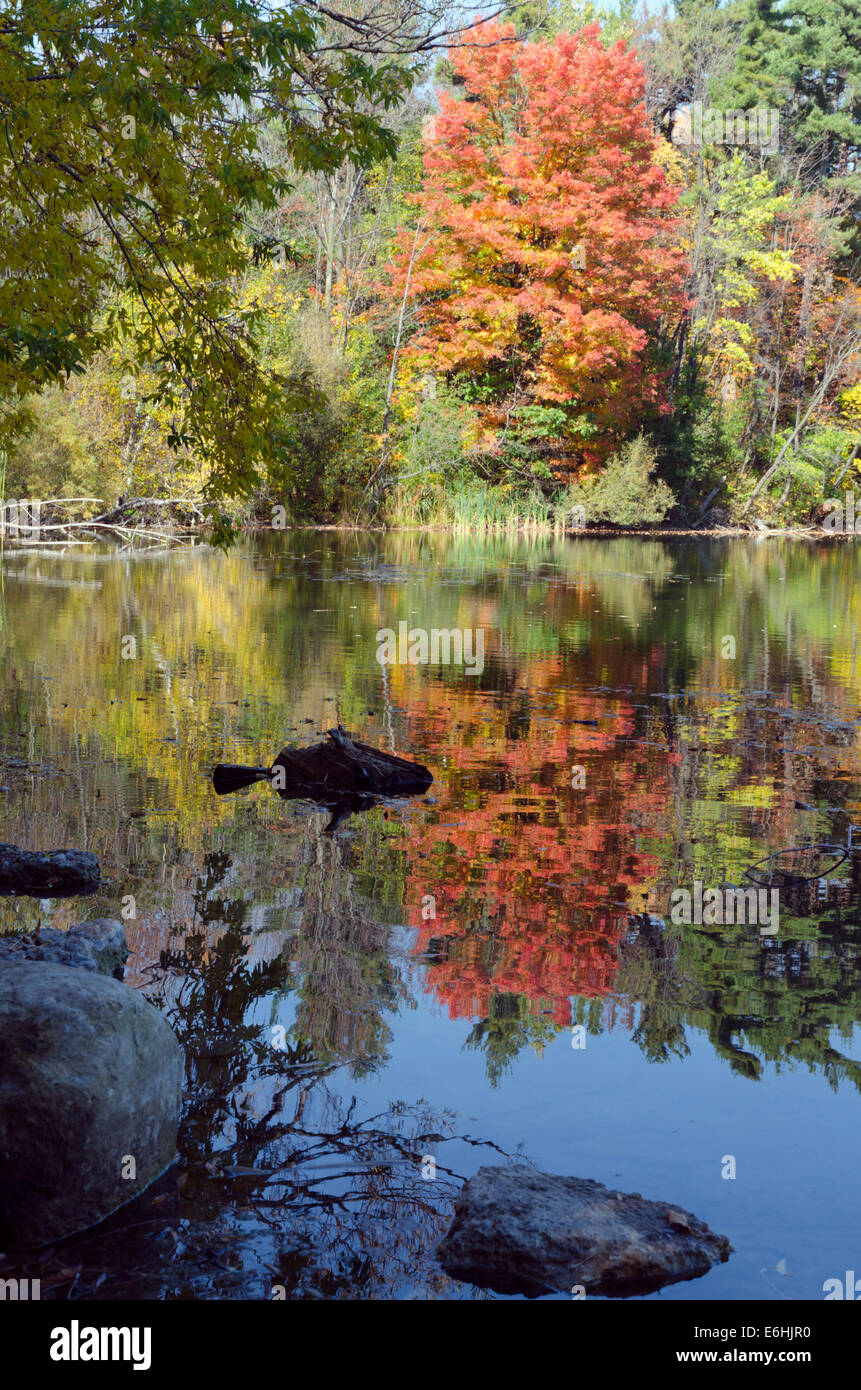 Oak ridges moraine hi-res stock photography and images - Alamy
