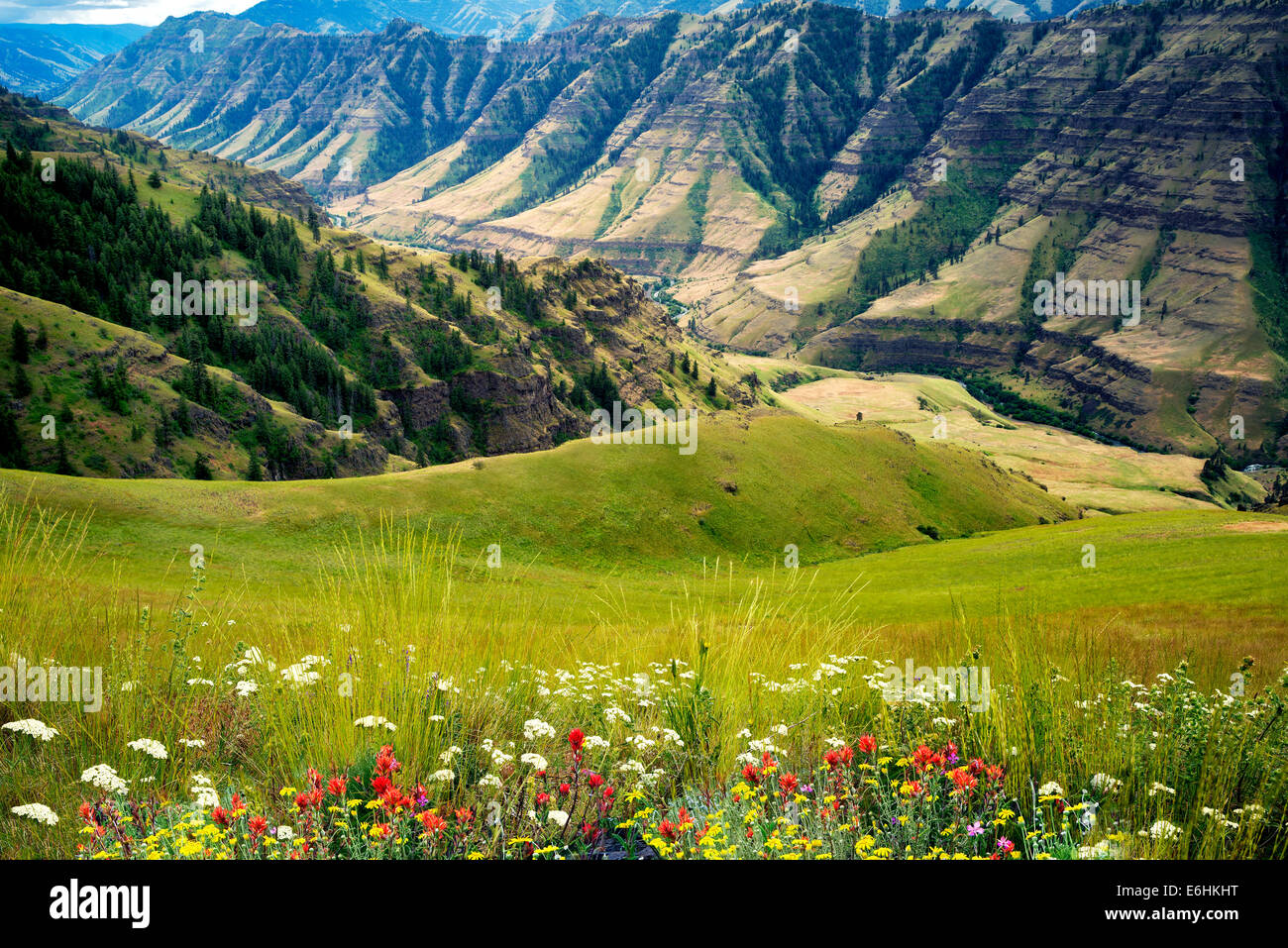 Wildflowers and Imnaha Canyon. Hells Canyon National Recreation Area ... Wildflowers and Imnaha Canyon. Hells Canyon National Recreation Area ...