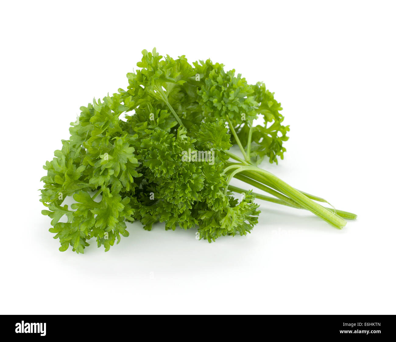 Bunch of fresh green curly parsley. Isolated on white background Stock ...
