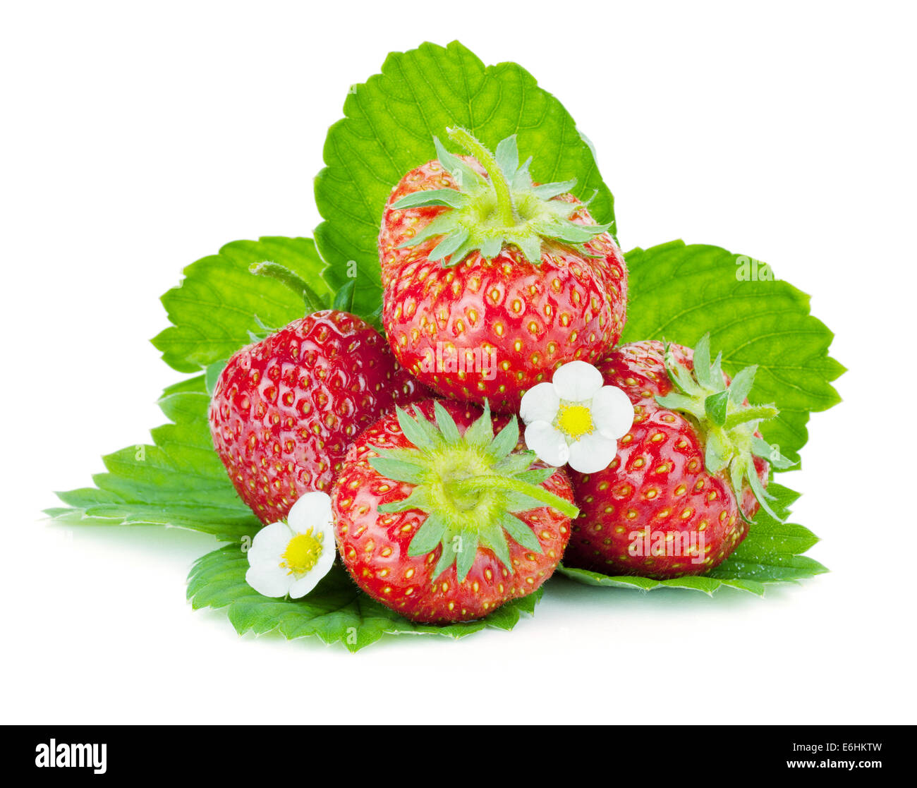 Four strawberry fruits with green leaves and flowers. Isolated on white ...
