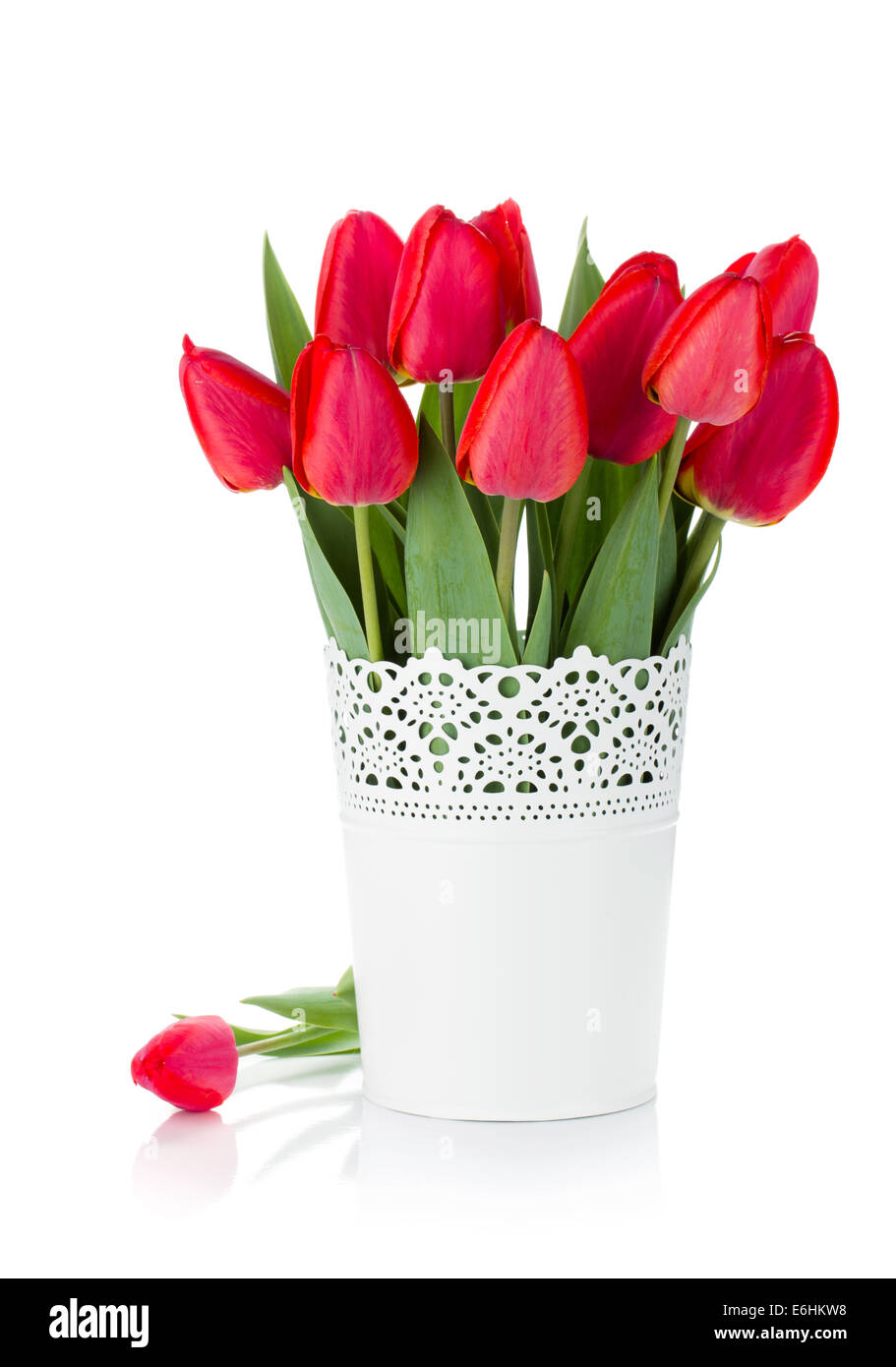 Red tulips in flowerpot. Isolated on white background Stock Photo - Alamy