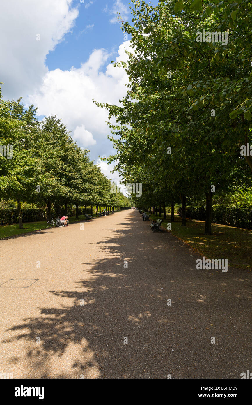 The Broadwalk footpath through Regent's Park, London Stock Photo - Alamy