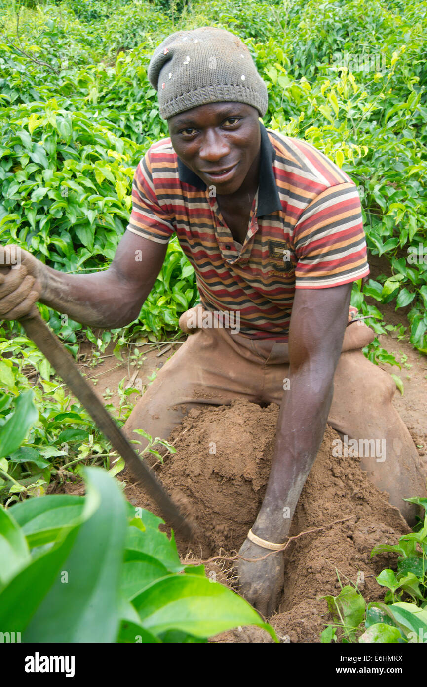 Nigeria farmers hi-res stock photography and images - Alamy