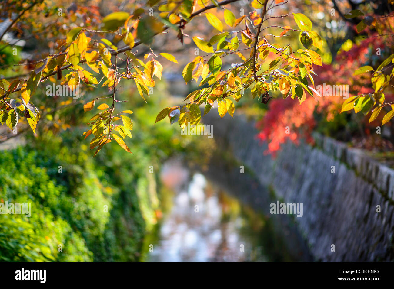 Kyoto, Japan at Philosopher's Path in the autumn Stock Photo - Alamy