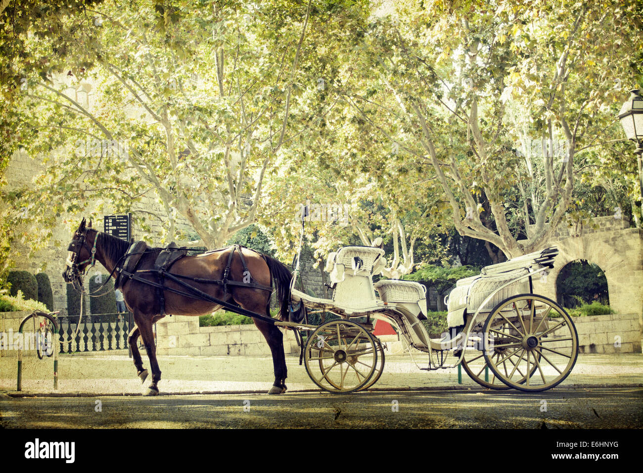 Medieval chariot hi-res stock photography and images - Alamy