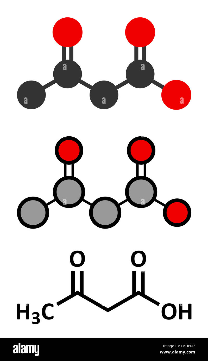 Ketone body (acetoacetic acid, diacetic acid) molecule. Stylized 2D ...