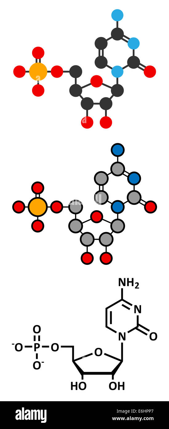 Cytidine monophosphate (CMP, cytidylate) RNA building block molecule ...