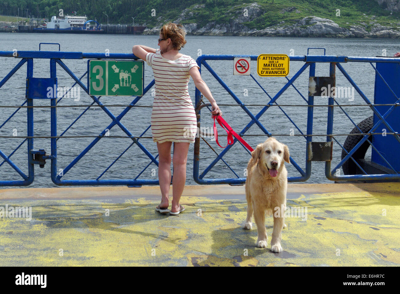 Lady passenger dog on baie hi-res stock photography and images - Alamy