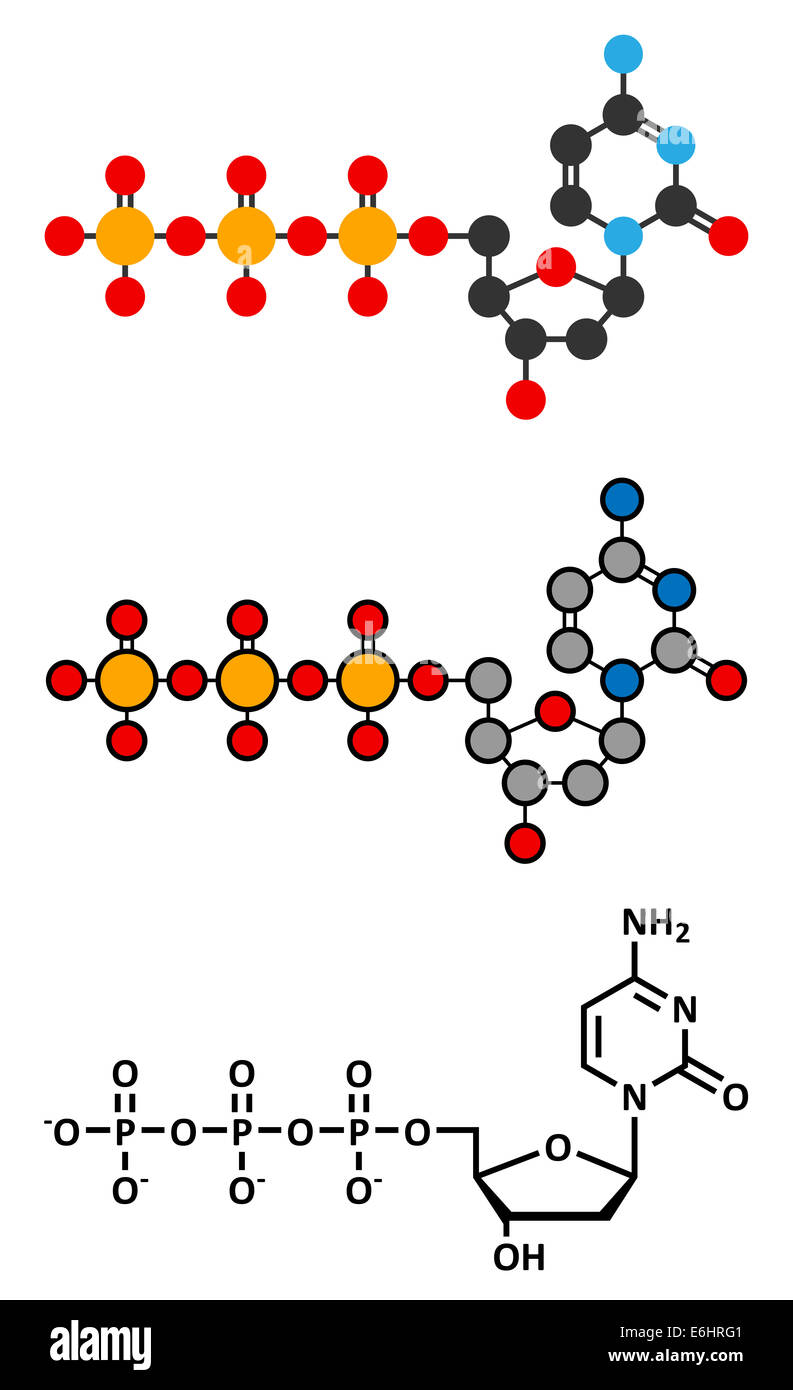 Conventional form hi-res stock photography and images - Alamy