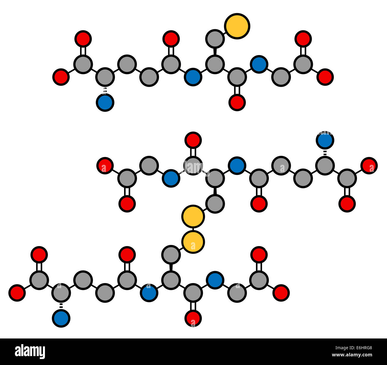 Glutathione antioxidant peptide, skeletal formula. Shown in the reduced ...