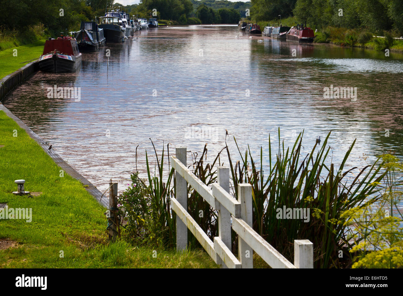 Slimbridge and Sharpness Stock Photo - Alamy