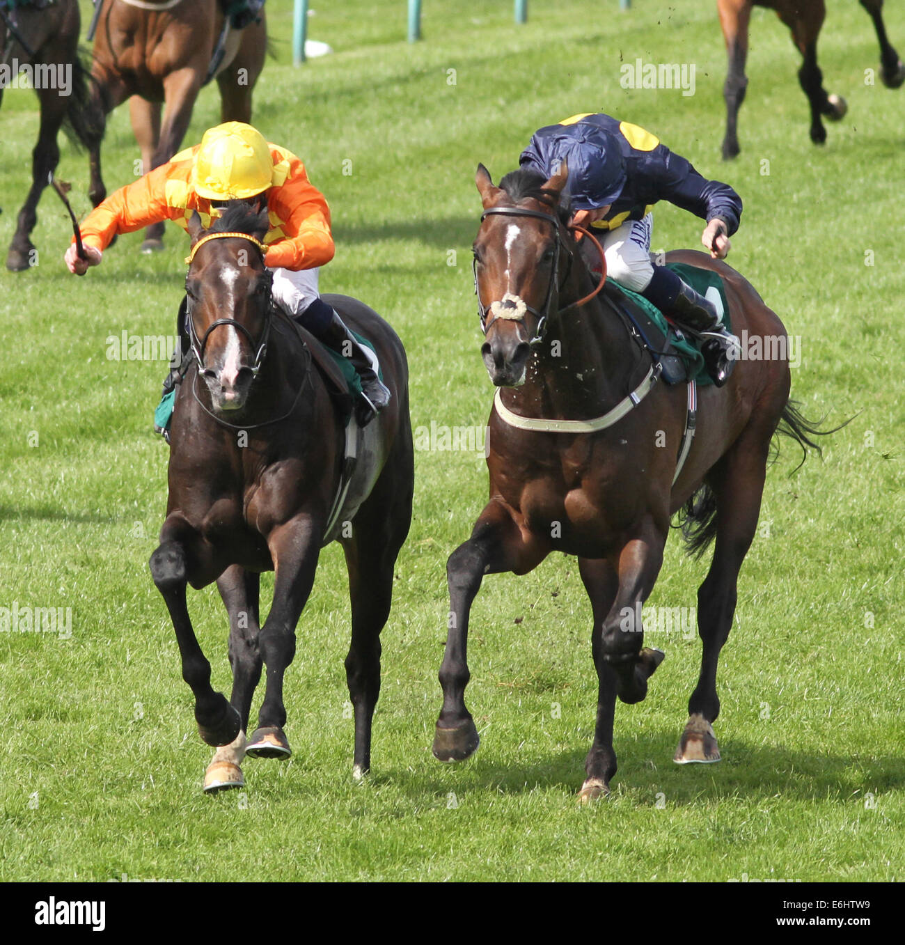 Great yarmouth racecourse hi-res stock photography and images - Alamy
