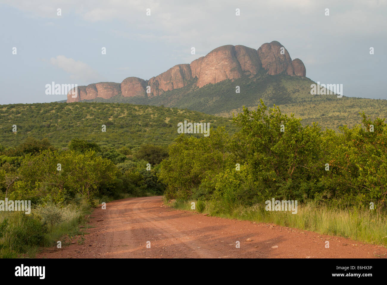 Waterberg national park hi-res stock photography and images - Alamy