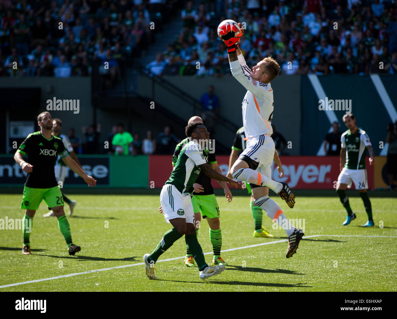 Aug. 24, 2014 - Seattle's keeper STEFAN FREI (24) makes a jumping stop ...