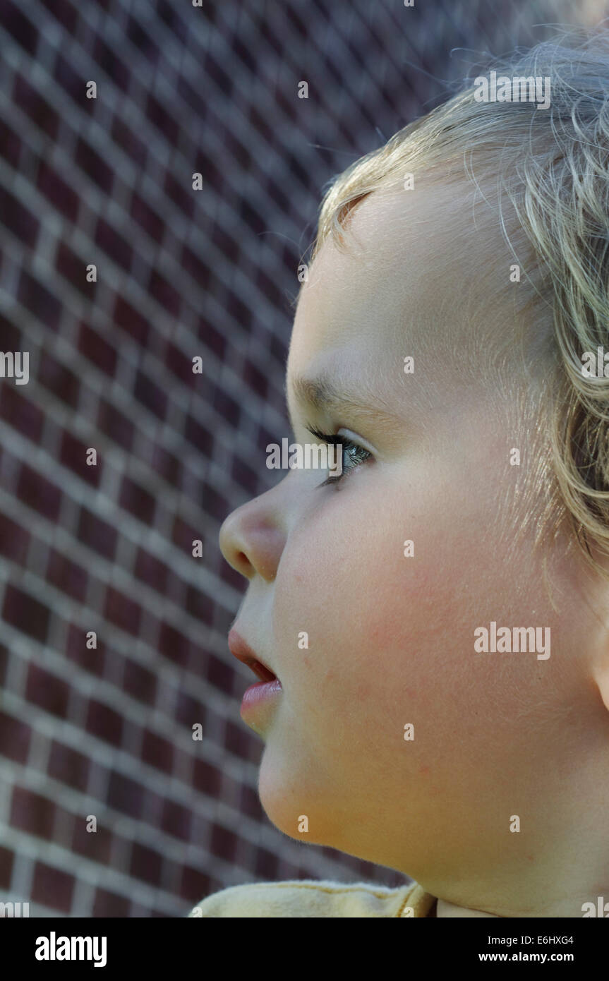 Portrait of a beautiful 2 yr old boy Stock Photo - Alamy