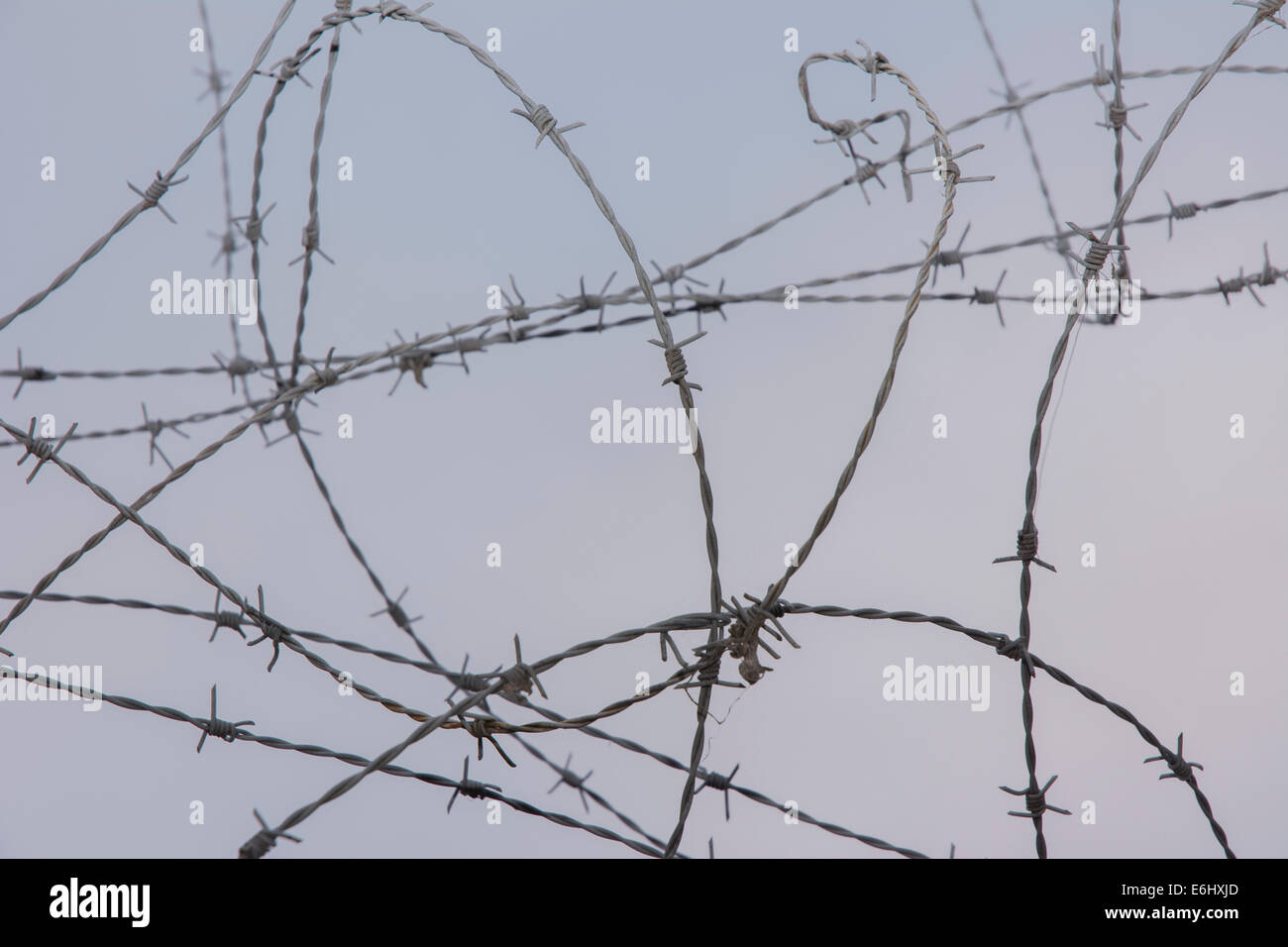 Tangled Barb Wire Stock Photo - Alamy