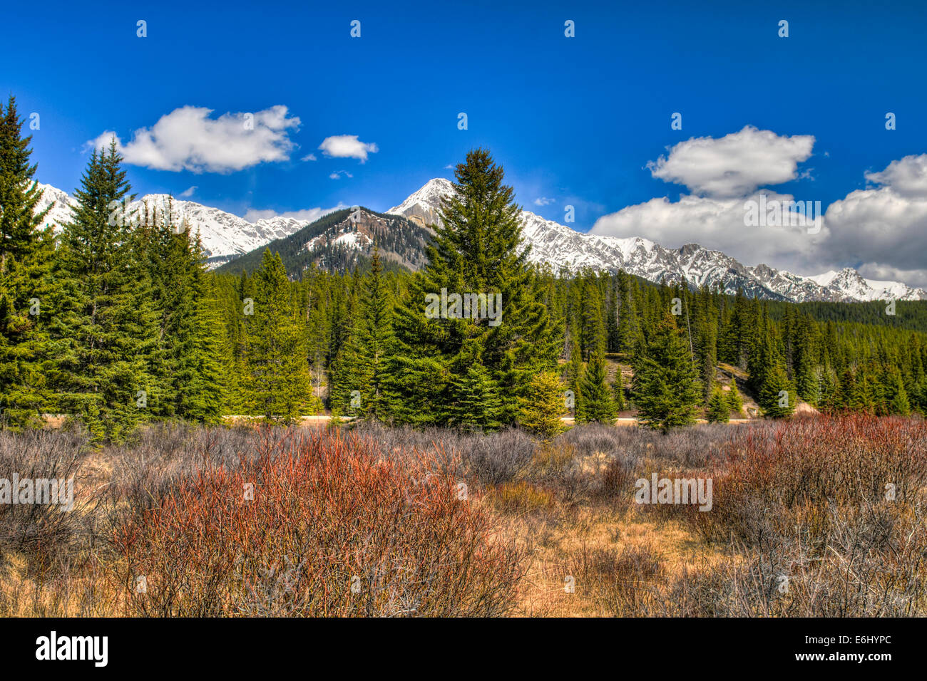 Scenic landscapes in Banff National Park Stock Photo - Alamy