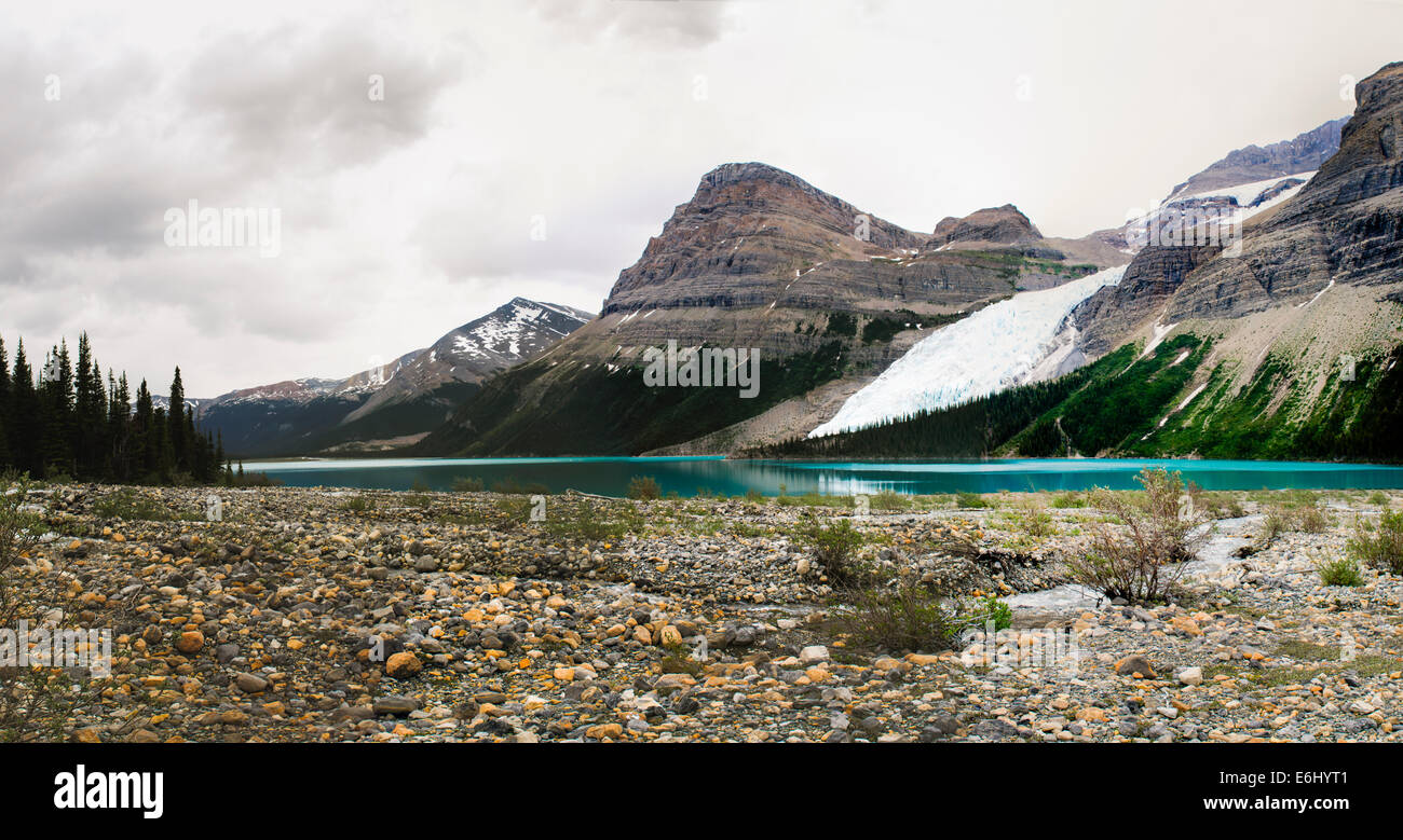 Scenic mountain hiking views, Berg Lake Trail, Mount Robson Provincial ...