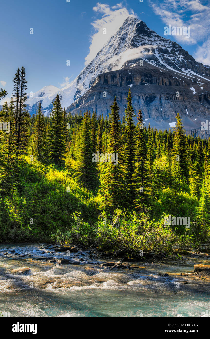 Scenic mountain hiking views, Berg Lake Trail, Mount Robson Provincial ...