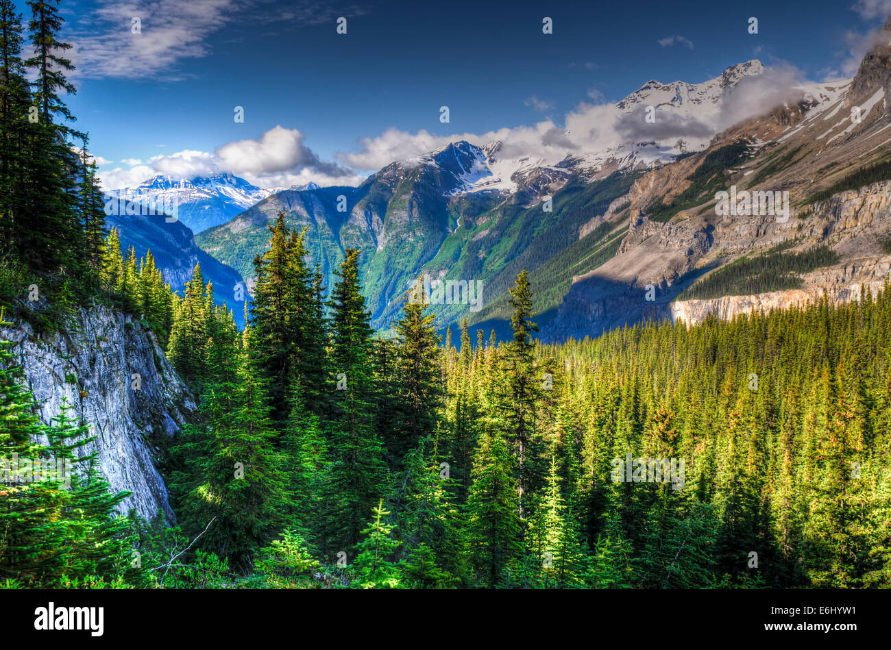 Scenic mountain hiking views, Berg Lake Trail, Mount Robson Provincial ...