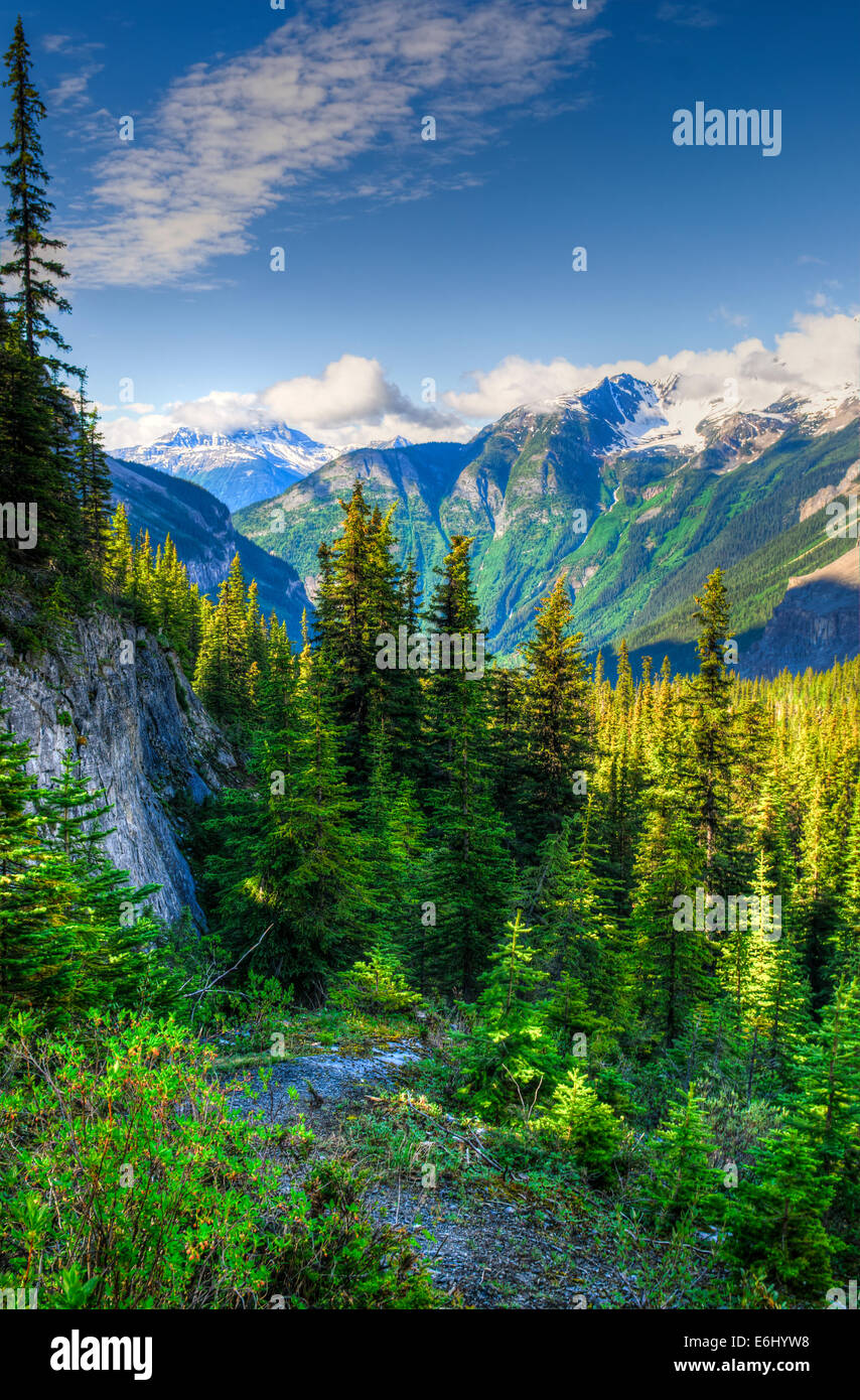 Scenic mountain hiking views, Berg Lake Trail, Mount Robson Provincial ...