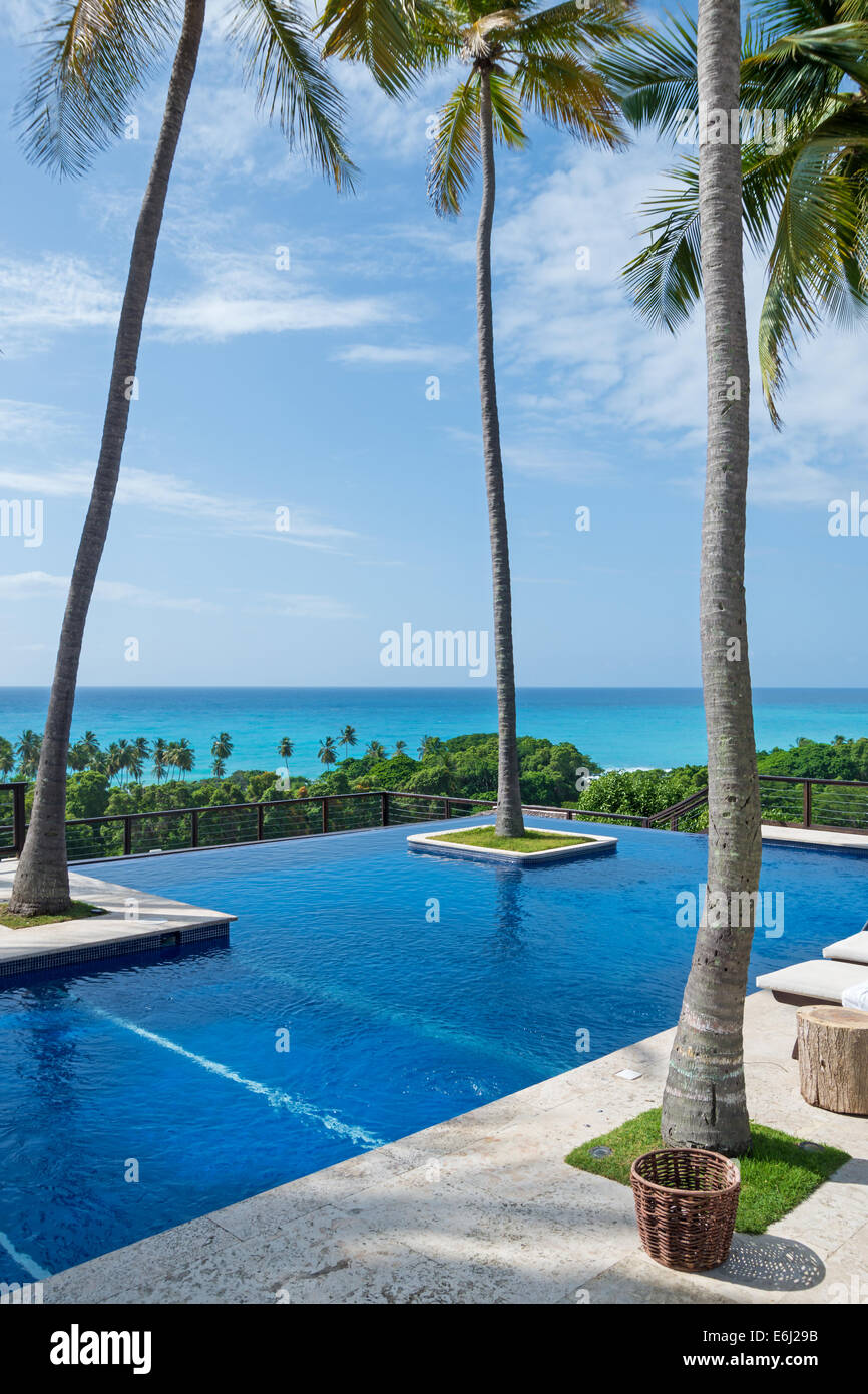 Swimming Pools Palms Behind Tree