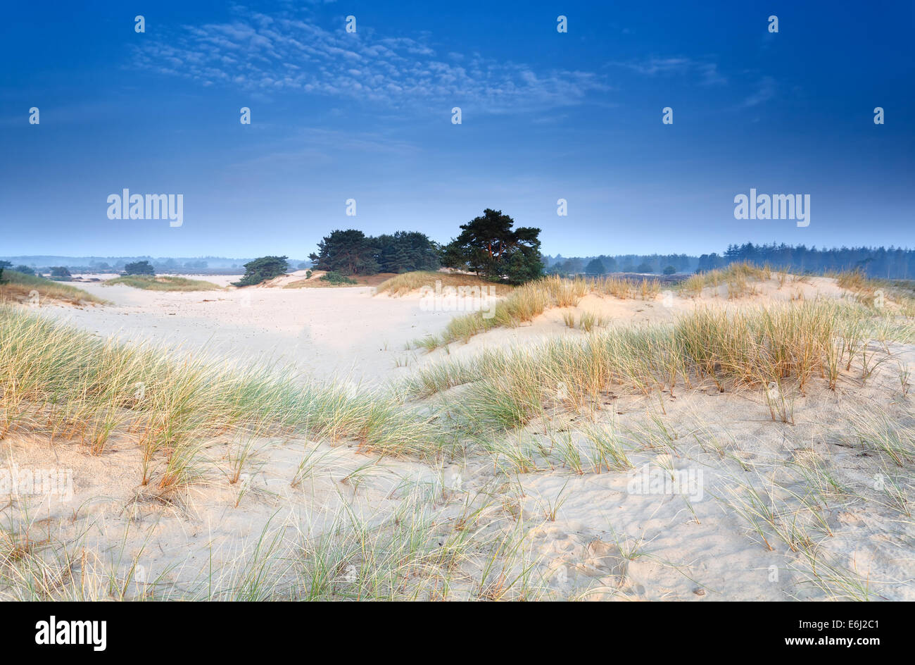 Sand dunes in holland desert hi-res stock photography and images - Alamy