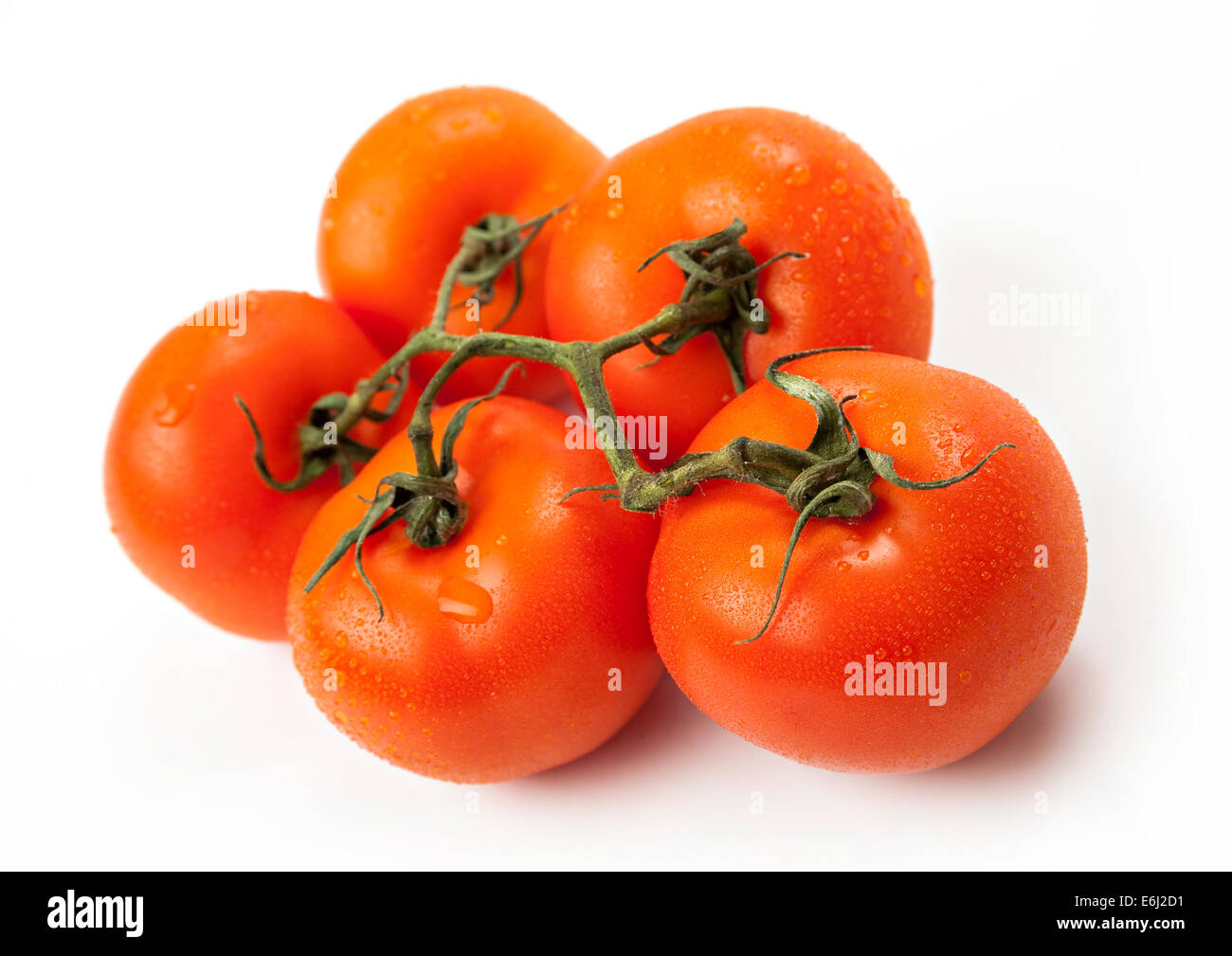 Tomato stem detail Cut Out Stock Images & Pictures - Alamy