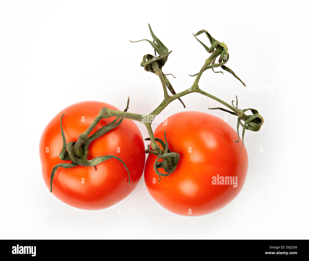 Isolated tomato two whole hi-res stock photography and images - Alamy